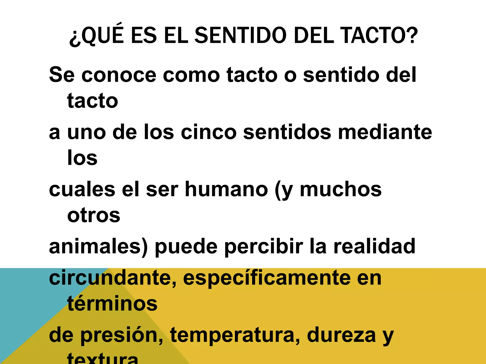 EL SENTIDO DEL TACTO.pptx