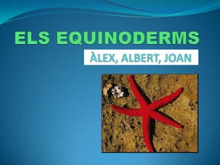 Els equinoderms (alex, albert i joan) | PPTX
