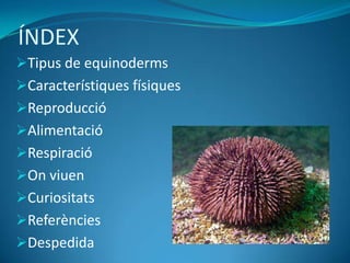 Els equinoderms (alex, albert i joan) | PPTX