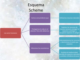 El ser humano en los ecosistemas | PPT