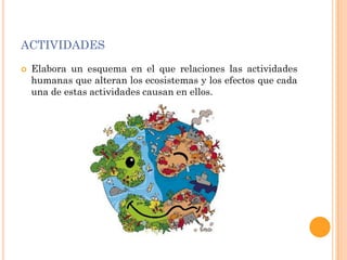 El ser humano en los ecosistemas | PPT