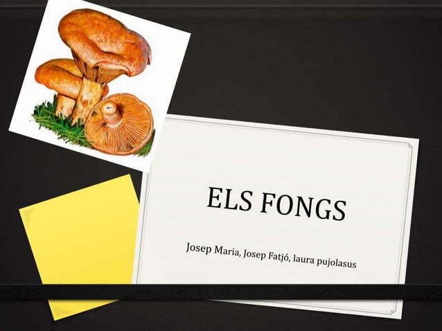 Els regne dels fongs | PPTX