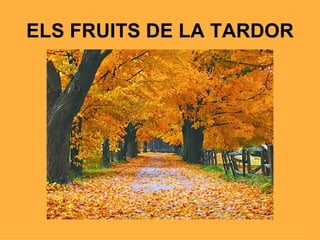 Els fruits de la tardor | PPT