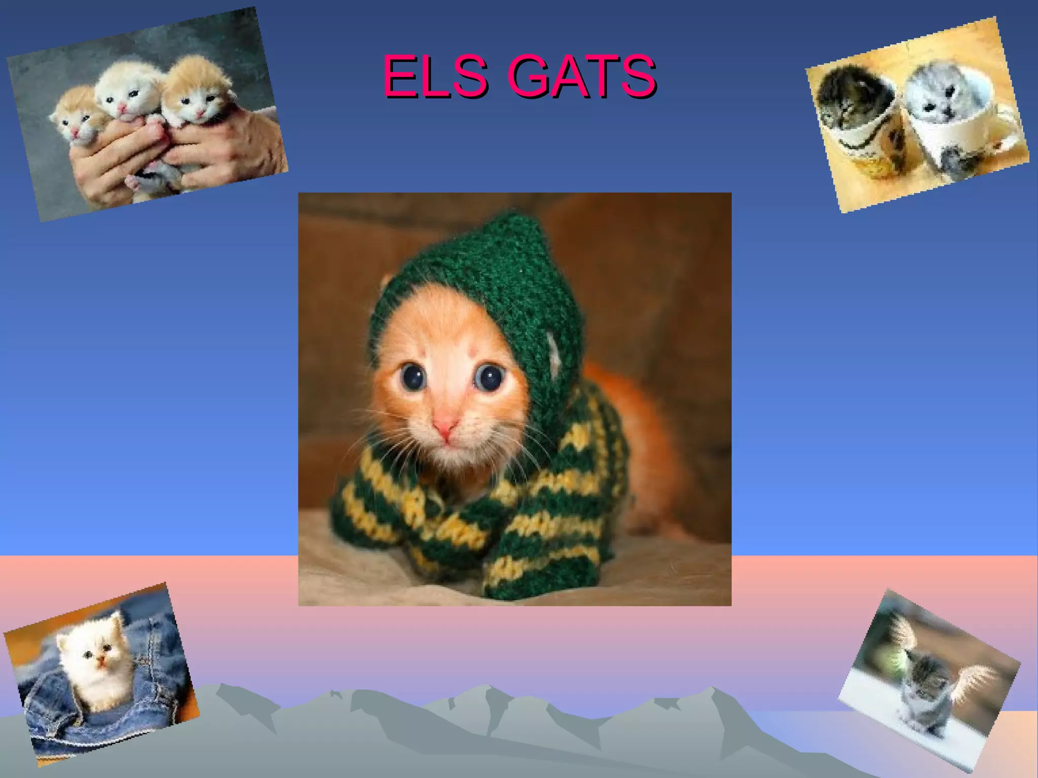 Els gats | PPT