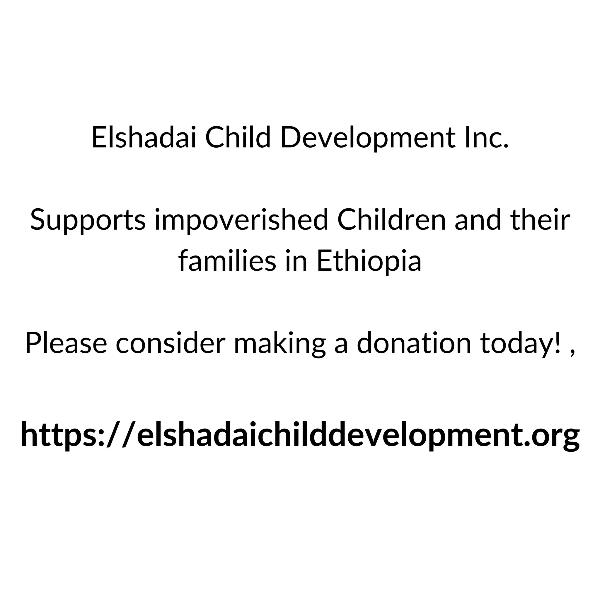 ElShadai Child Development, Inc. is a non-profit organization that ...