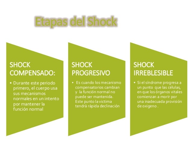 Captulo 14 Hemorragia Y Estado De Shock