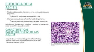 EL SINDROME ASCITICO diapositivas gratis ppt | PPTX