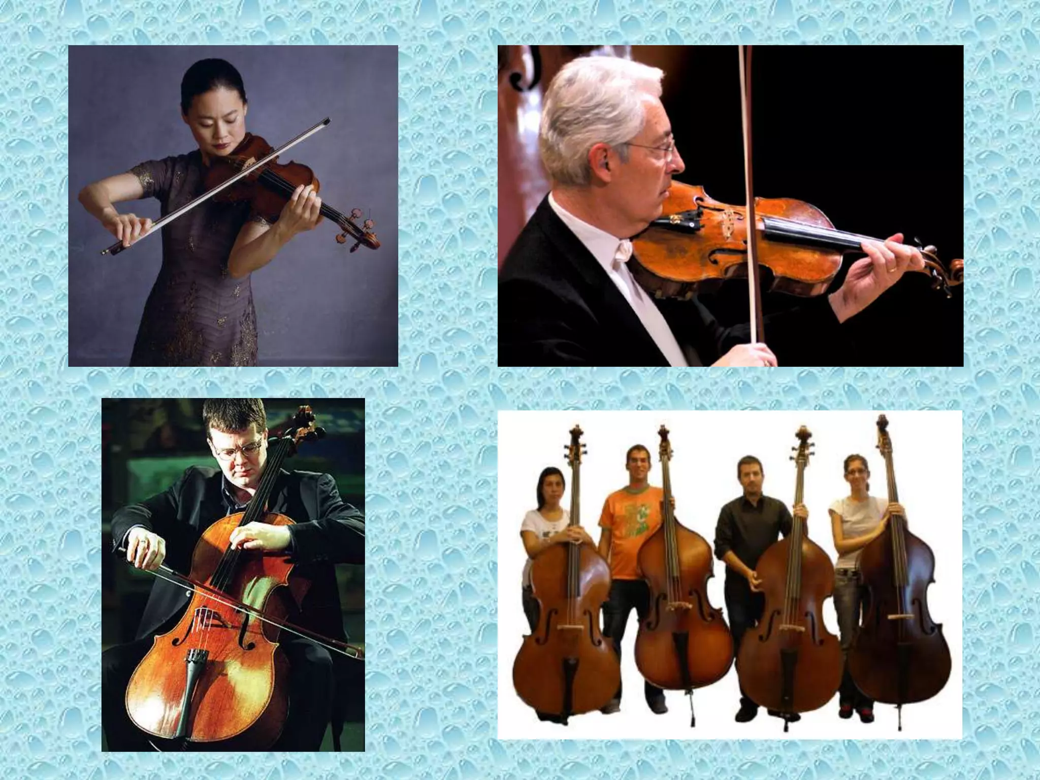 Els instruments de corda | PPT