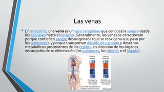 El sistema circulatorio | PPTX