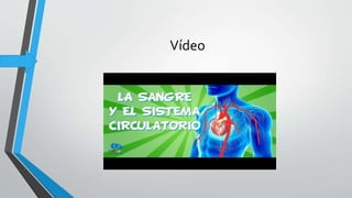 El sistema circulatorio | PPTX