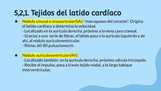 El sistema circulatorio- Anatomía y fisiología.pdf