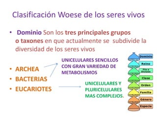 El sistema de clasificación los 3 dominios de | PPTX