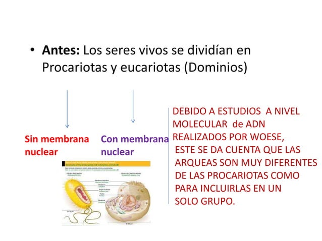 El sistema de clasificación los 3 dominios de | PPTX
