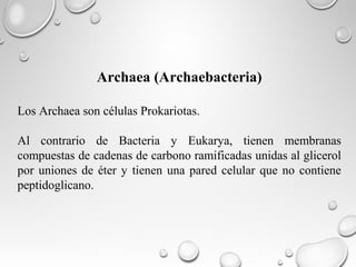 El sistema de los tres dominios | PPT