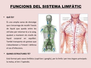 El sistema limfàtic | PPT