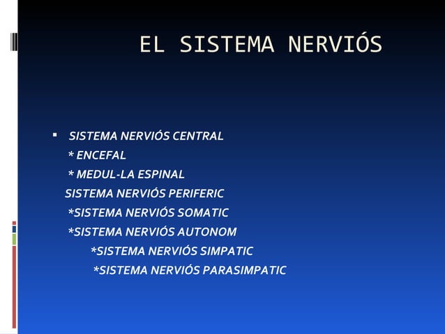 El sistema nerviós | PPT
