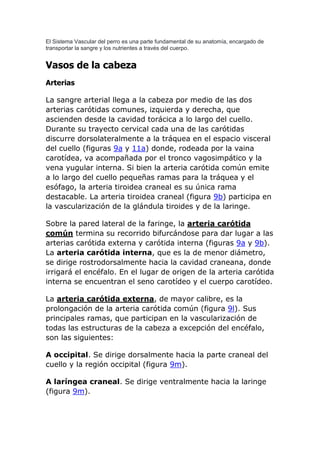 El Sistema Vascular del perro es una parte fundamental de su anatomía.docx