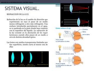 El sistema visual | PPTX