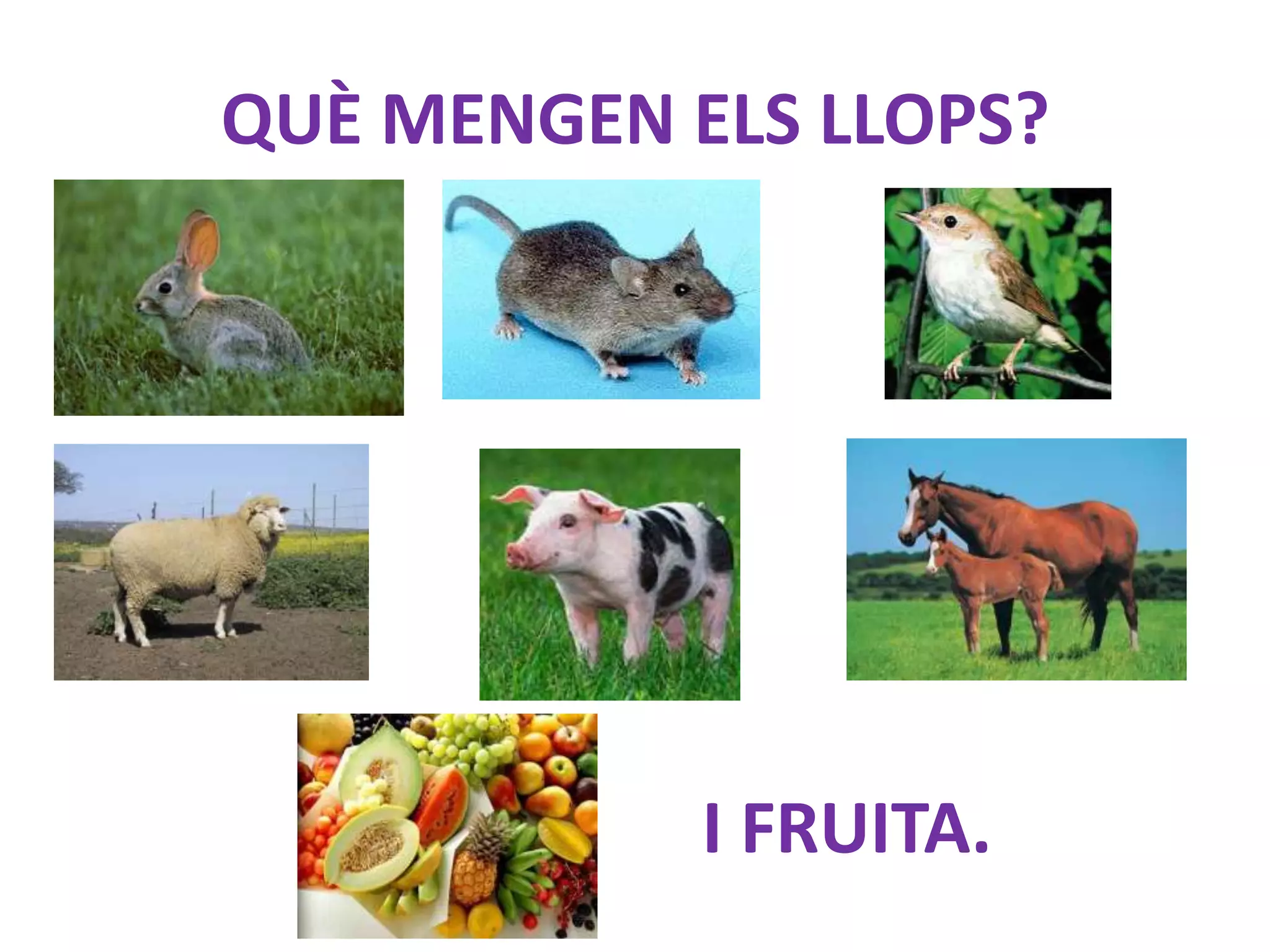 Els llops | PPTX | Dogs | Pets