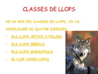 Els llops | PPTX