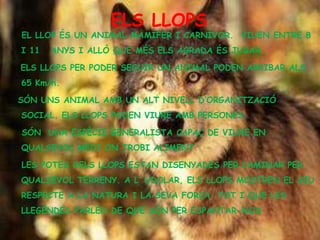 Els llops | PPTX