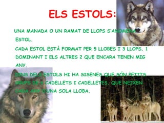 Els llops | PPTX