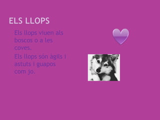 Els llops by Dana | PPTX