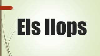 Els llops | PPT