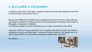 Els llops | PPTX