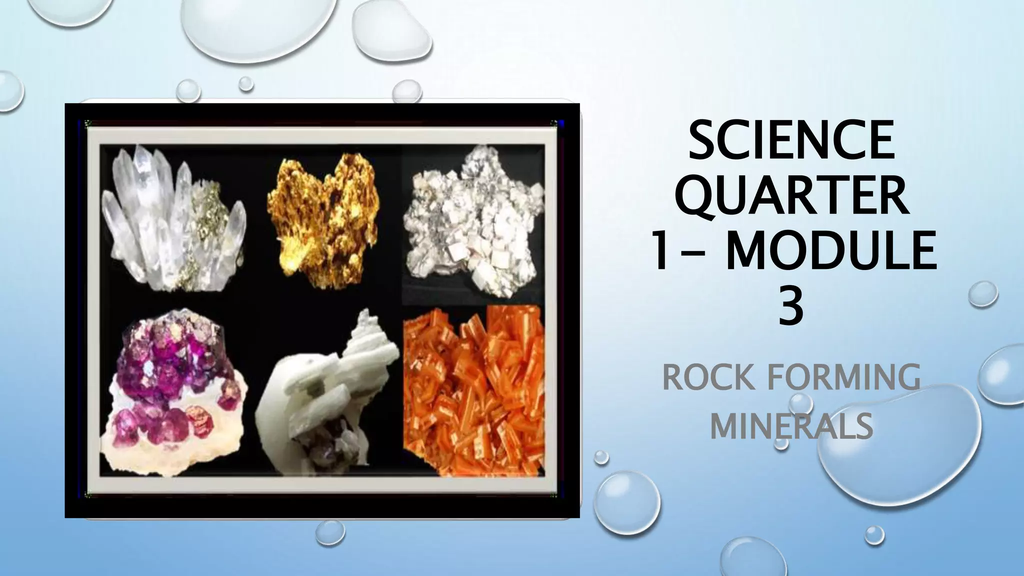 ELS MODULE 3 PPT.pptx