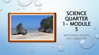 ELS MODULE 5 PPT.pptx