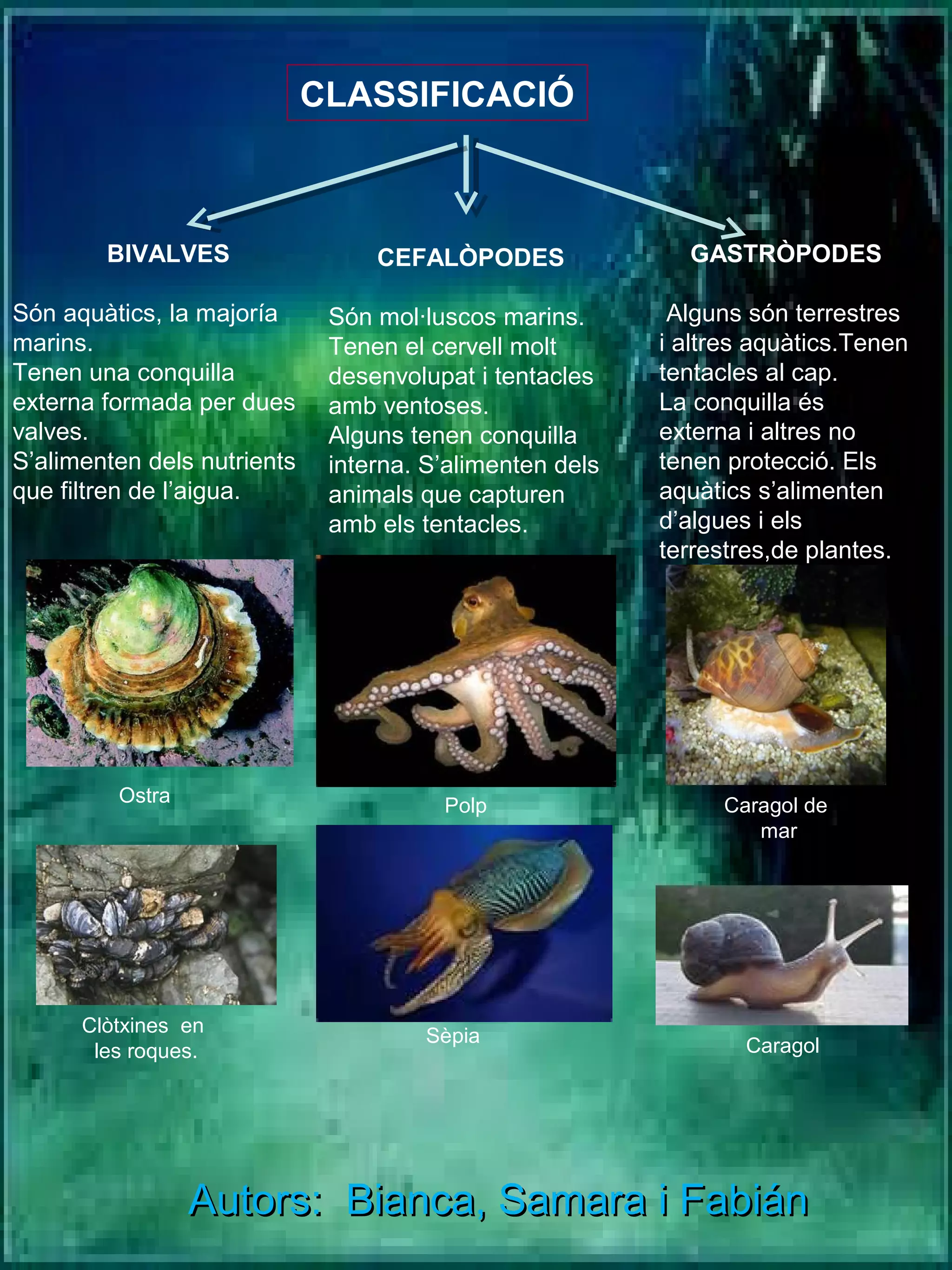 Els mol luscos | PPT