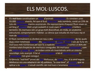 Els mol·luscos | PPTX