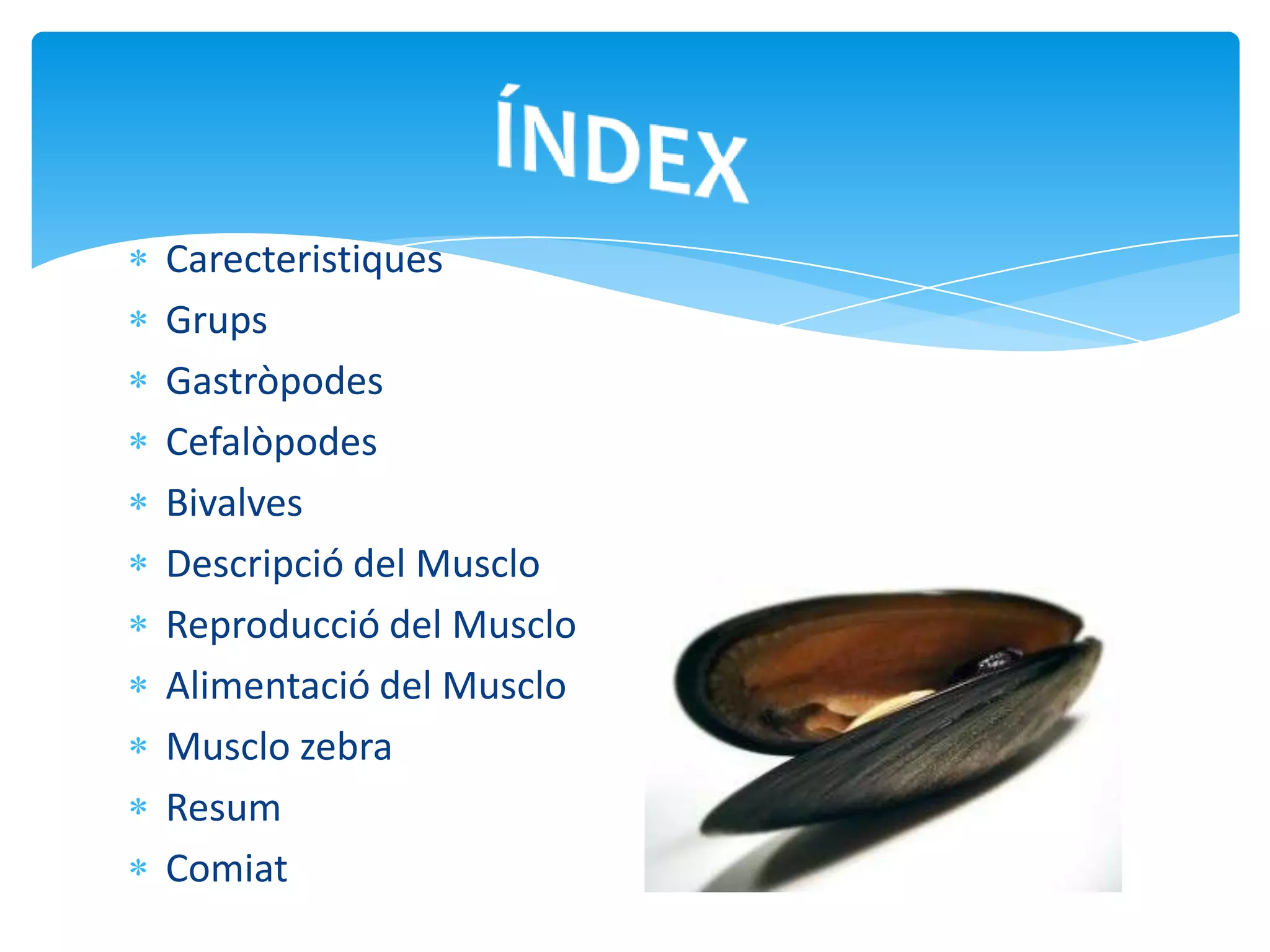 Mol·luscs 5è B | PPT