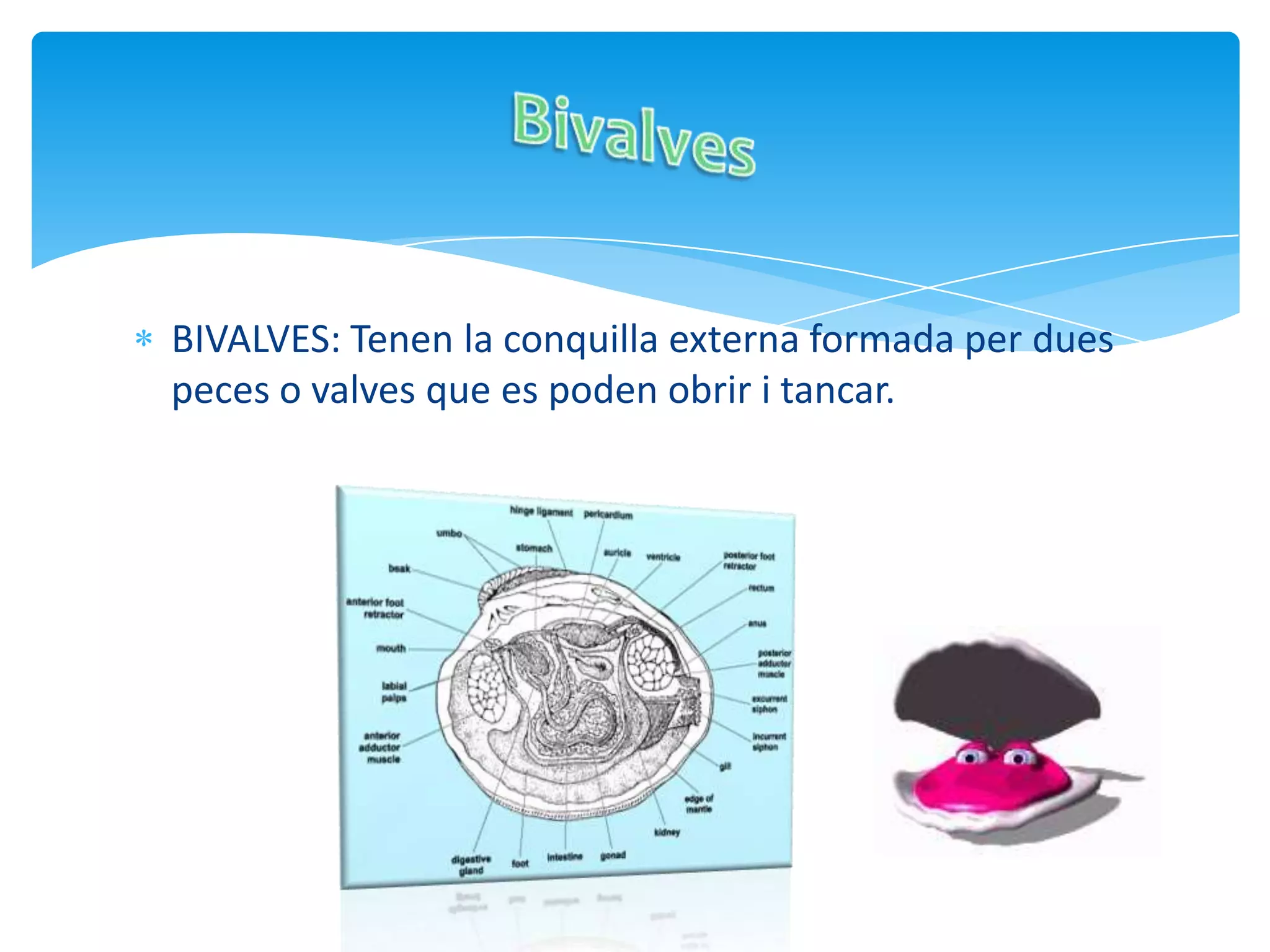 Mol·luscs 5è B | PPTX