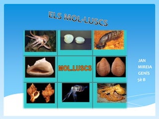 Mol·luscs 5è B | PPT
