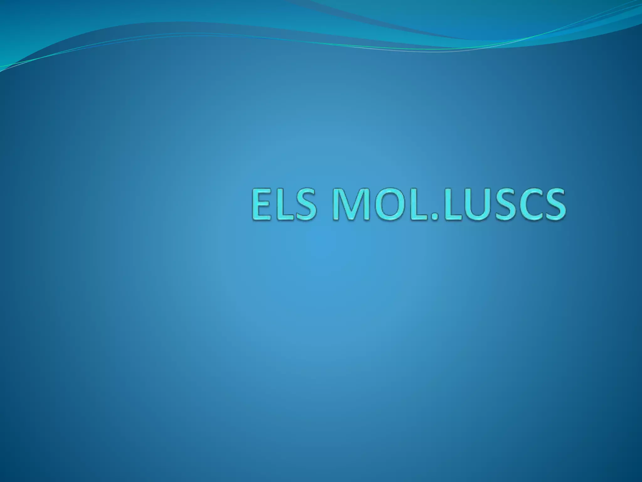 Els mol.luscs 1 | PPTX
