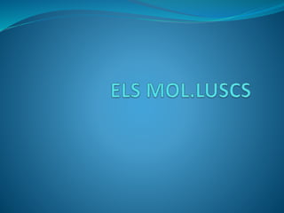 Els mol.luscs 1 | PPTX