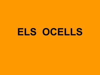 Els ocells | PPT