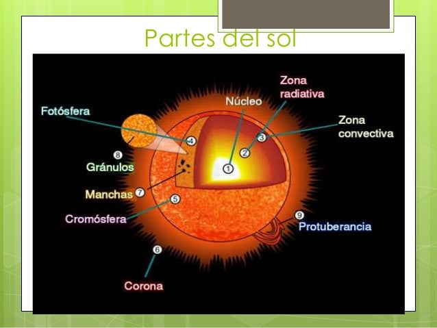 LAS PARTES DEL SOL - Imagui