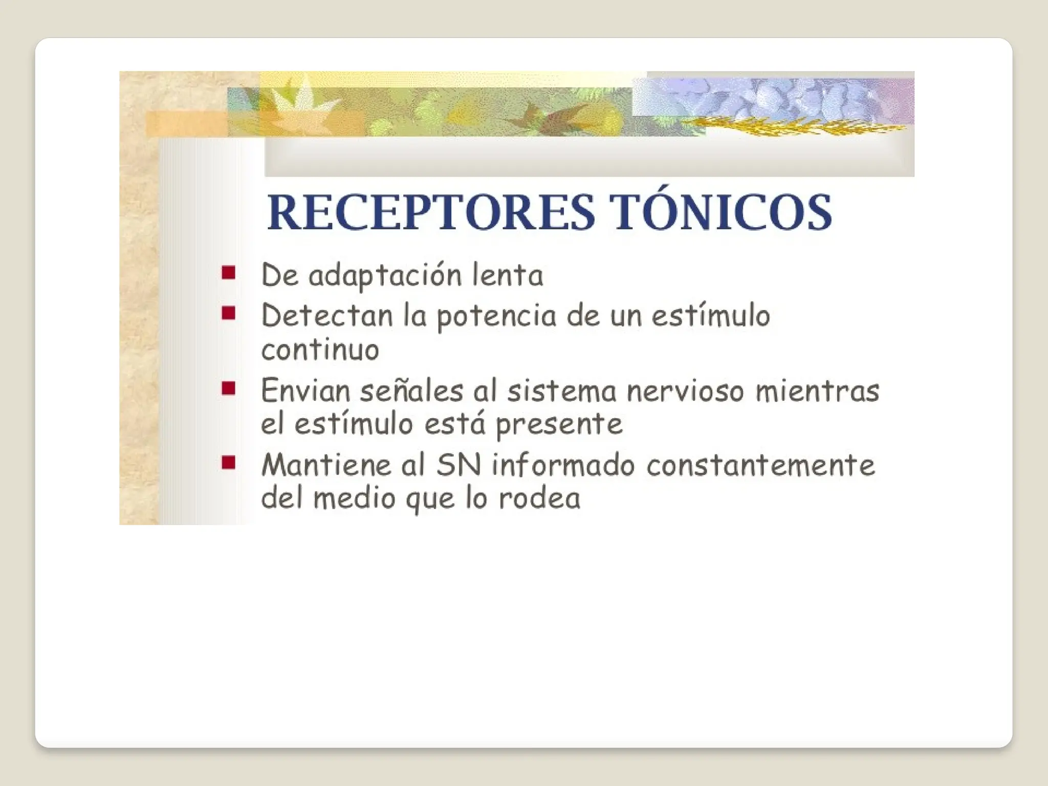 ELS_ORGANS_DELS_SENTITS_ 3ESO- BioGeo.pptx.ppt.pptx