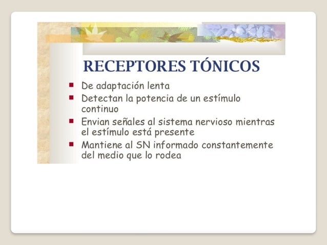 ELS_ORGANS_DELS_SENTITS_ 3ESO- BioGeo.pptx.ppt.pptx