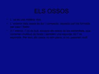 Els osos 2 | PPT