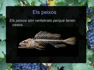 Els peixos | PPT
