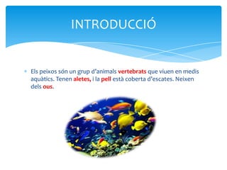 Els peixos!!!!!!!!!!!!!! | PPT