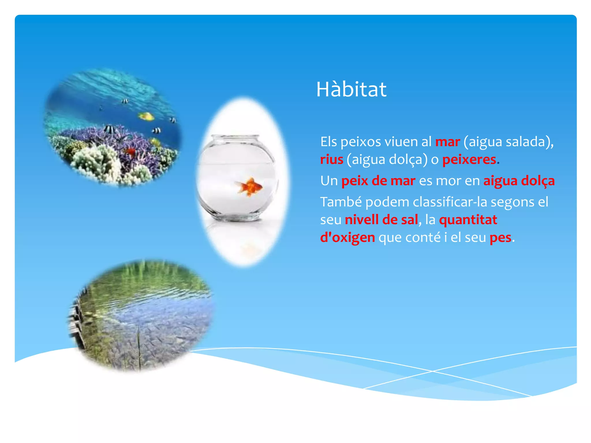 Els peixos!!!!!!!!!!!!!! | PPTX