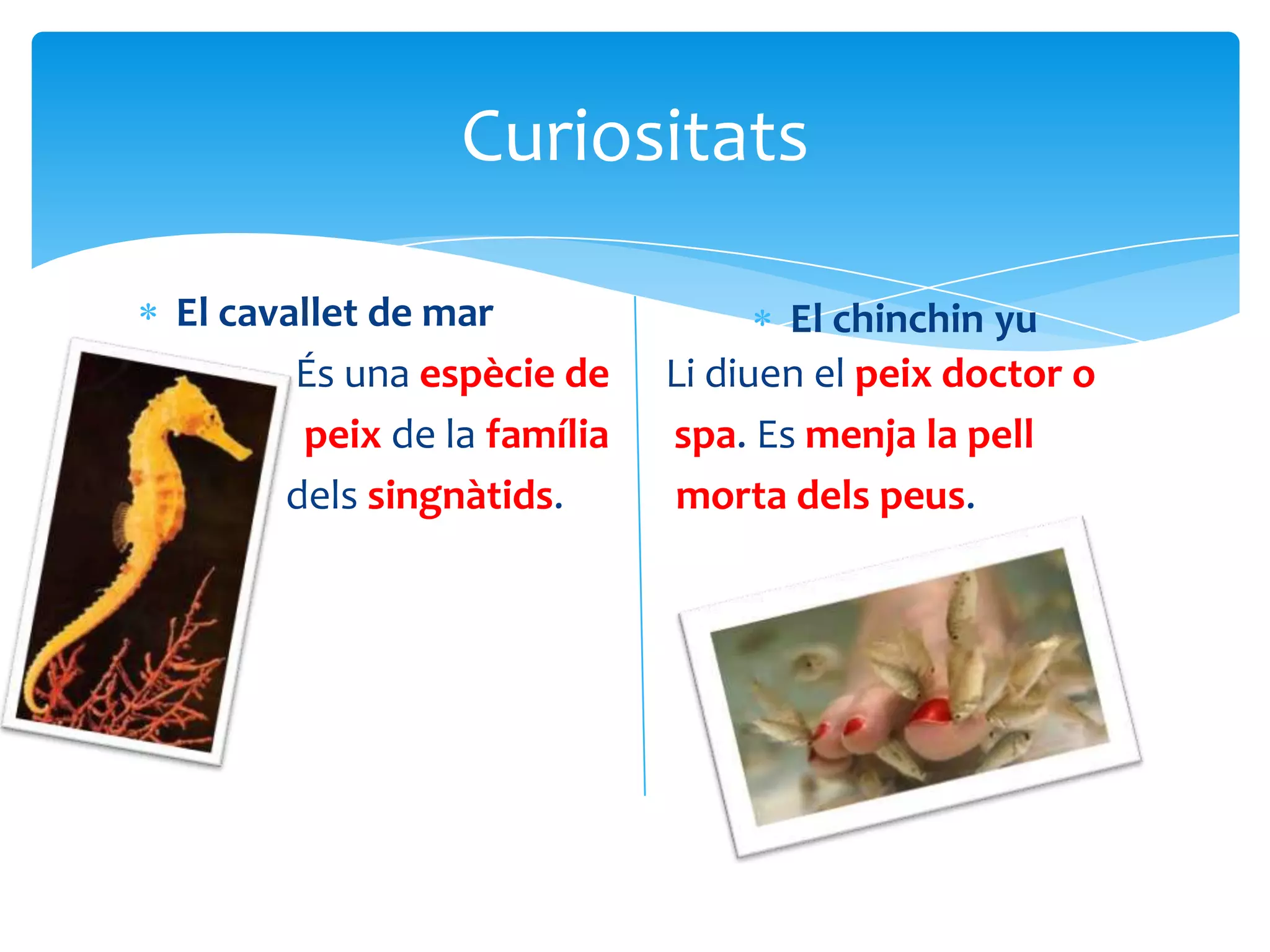 Els peixos!!!!!!!!!!!!!! | PPTX