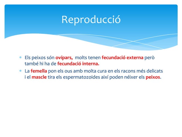 Els peixos!!!!!!!!!!!!!! | PPTX