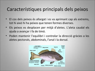 Peixos | PPT