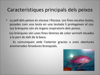 Peixos | PPT